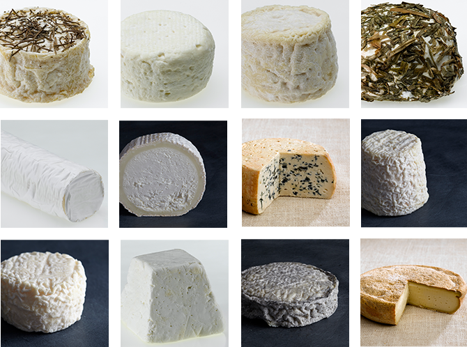 About - The Original Chèvre: Goat Cheeses of France